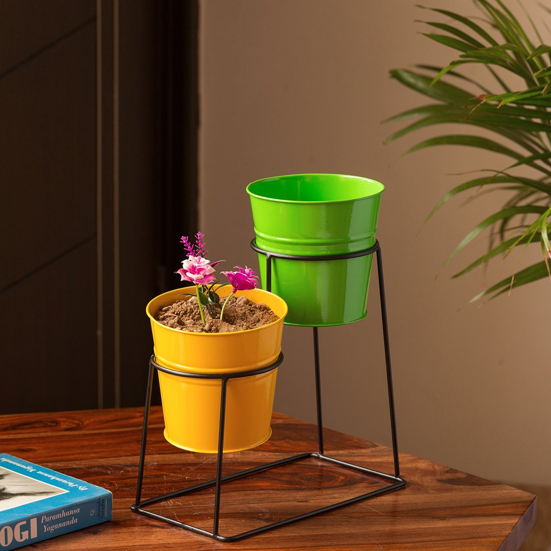 10 Stylish pots and planters for your favorite plants – ExclusiveLane